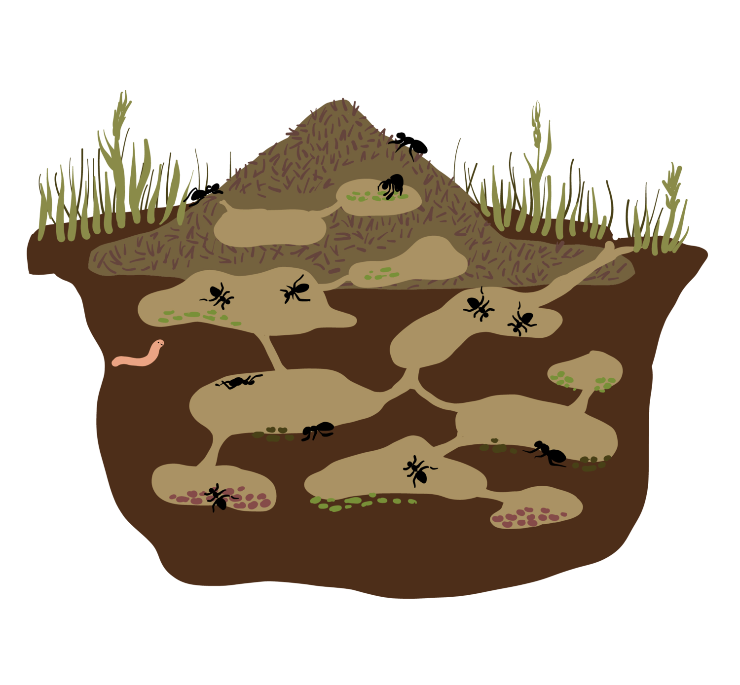 Maurtuen - KFUK-KFUM-speiderne