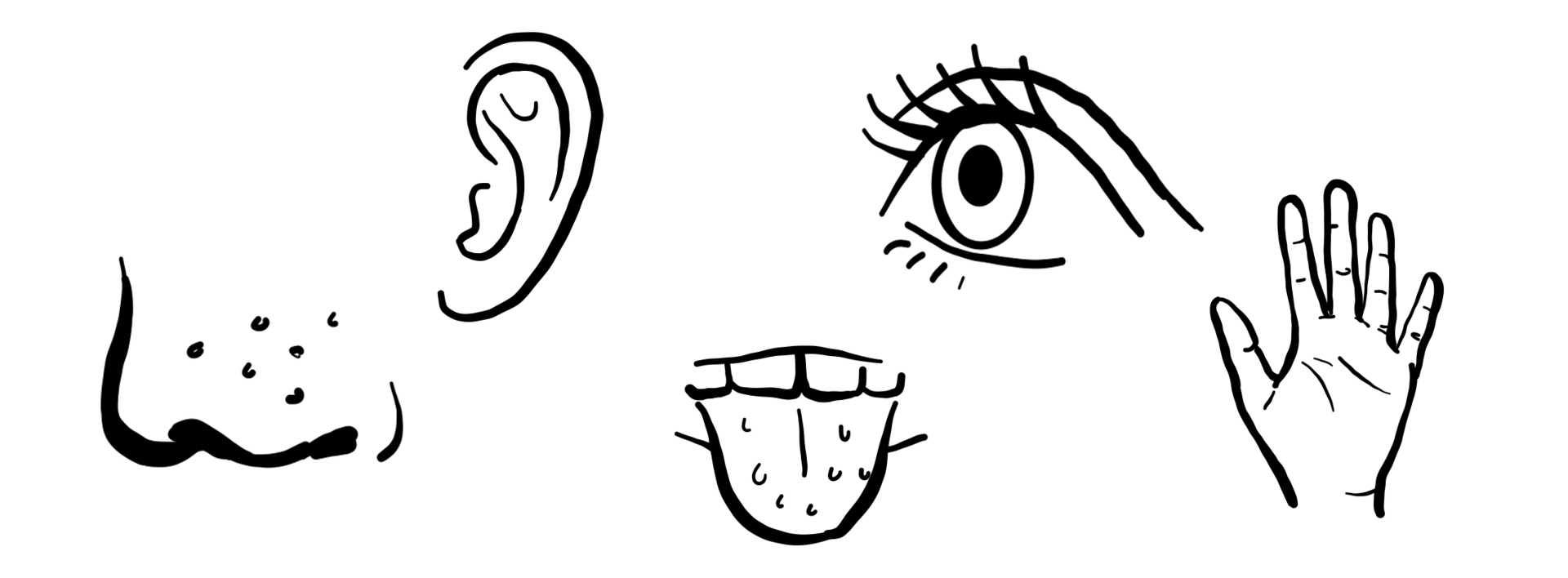 Sansene - KFUK-KFUM-speiderne