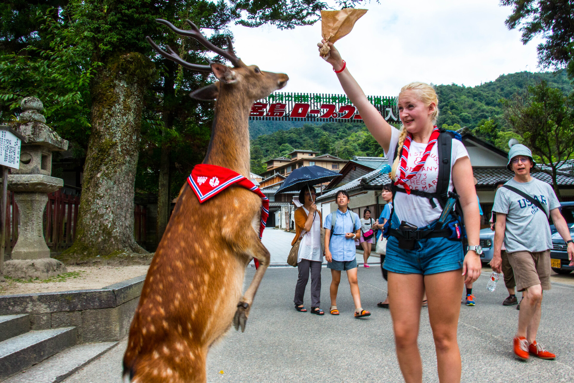 Dyrehagen - KFUK-KFUM-speiderne